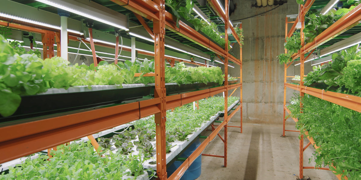 Demystifying TDS, EC, and PPM for Hydroponic Growth | Felix Smart