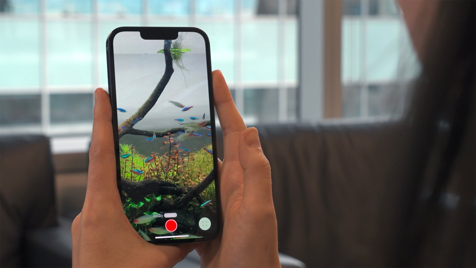 Freshwater Kit | Felix Smart