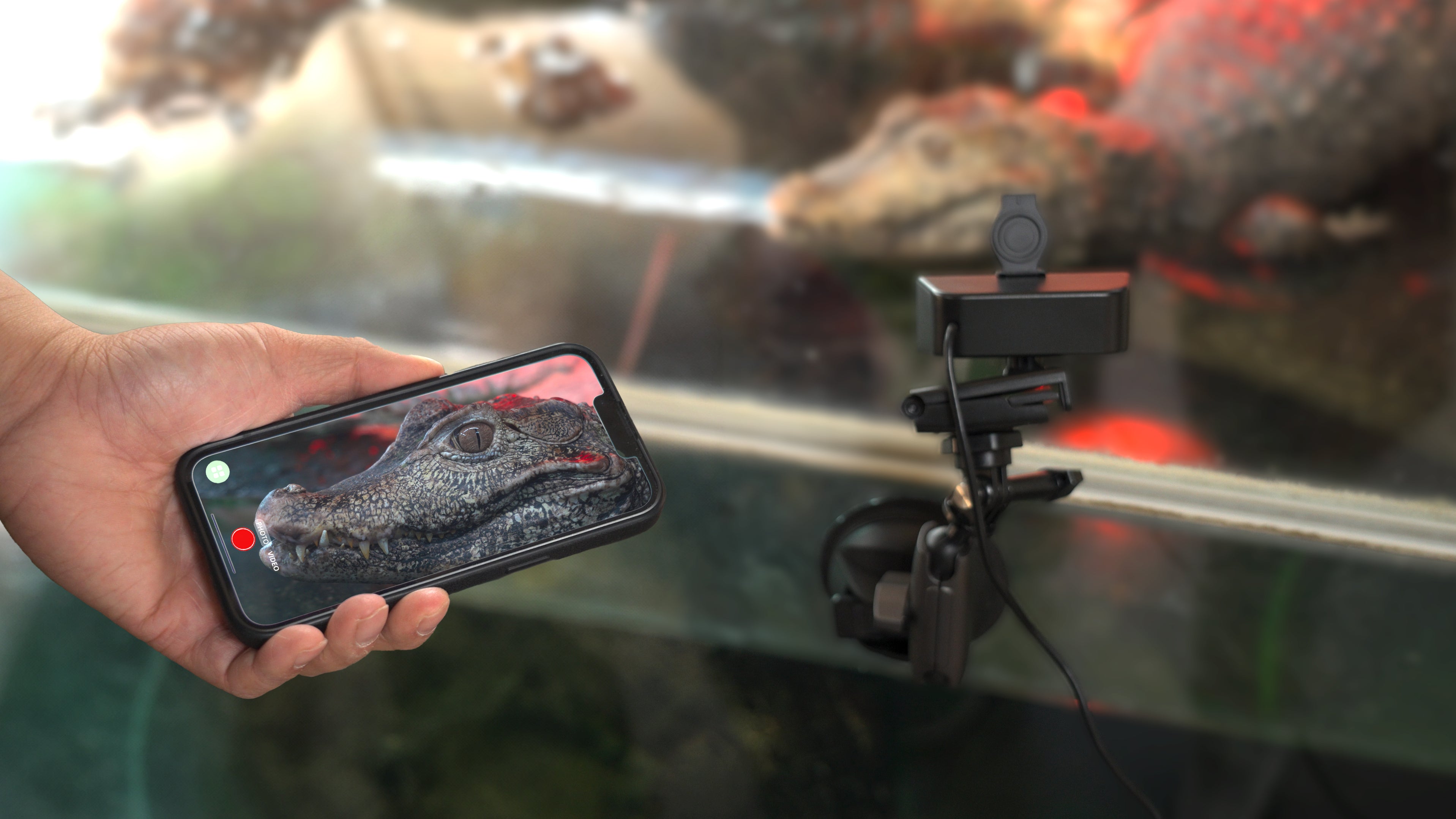 Terrarium Kit | Felix Smart